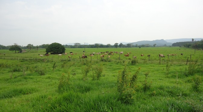 Com cem dias para término do prazo do CAR/MS, Sistema Famasul ...