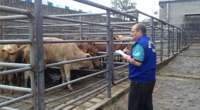 Depois de 10 dias, profissionais da Iagro finalizam atividades na Expogrande 2016 – SEMADESC