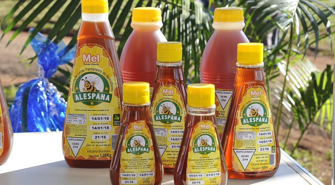 Mel de apicultores do Pantanal recebe prêmio internacional no Chile ...