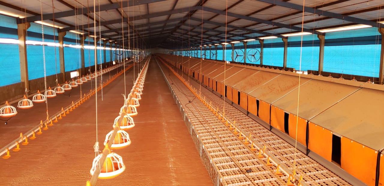 Equipe da Semagro visita instalações de granja de postura do Grupo ...